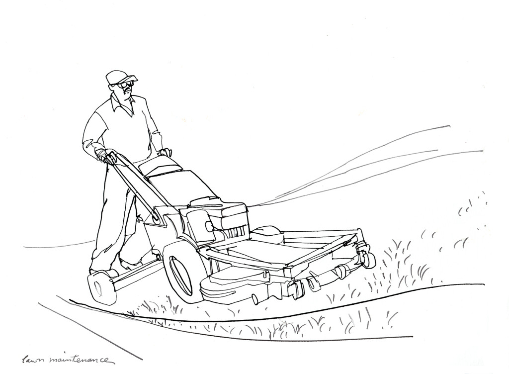 Lawn Maintenance