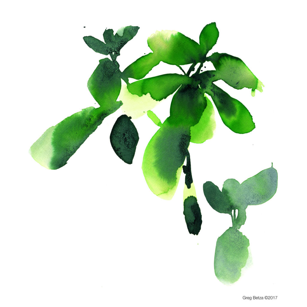 jade-green